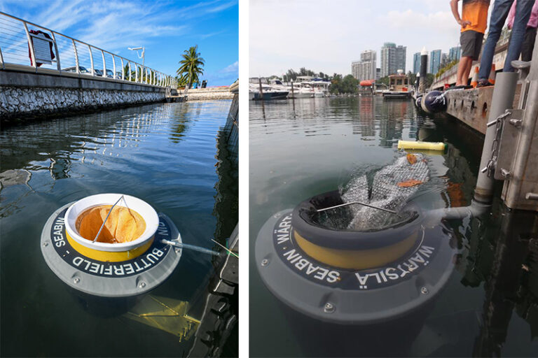 Saving the World with Seabins | Hive Life Magazine