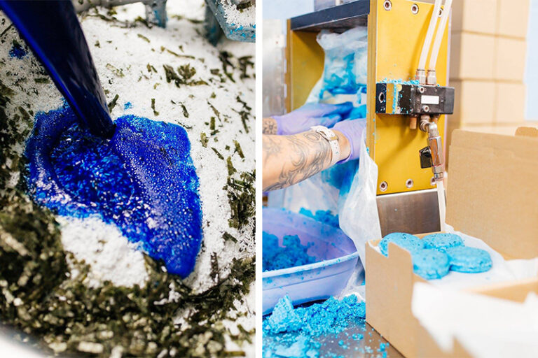 How Annabelle Baker Revives LUSH in Hong Kong