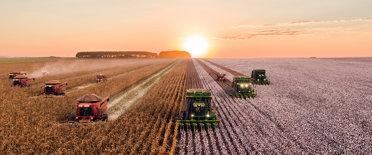 Agtech: An Ecosystem of Growth