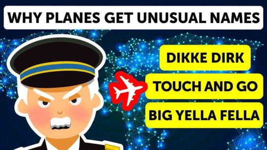 The 60+ Best Animation YouTube Channels in Every Category | Hive Life