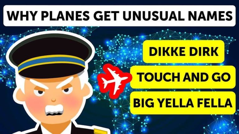 The 60+ Best Animation YouTube Channels in Every Category | Hive Life