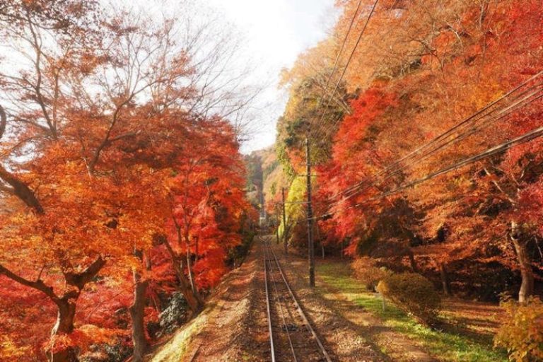 10 Best Hiking Trails Near Tokyo, Japan | Hive Life Magazine