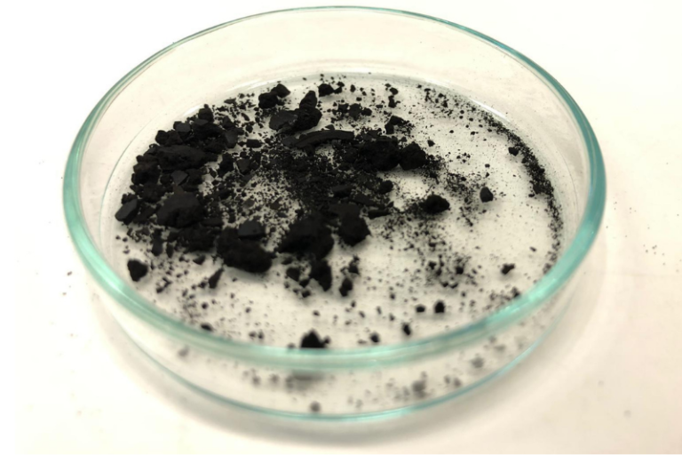 Insectta: Farming the Biomaterials of the Future | Hive Life Magazine