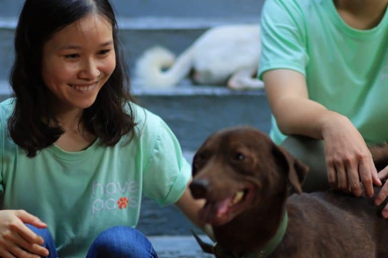 6 Animal Shelters in Vietnam to Adopt From | Hive Life Magazine