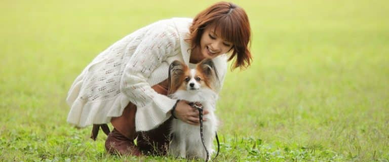 6 Animal Shelters in Vietnam to Adopt From | Hive Life Magazine