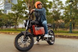 Dat Bike: Electrifying Vietnam’s Roadmap to Sustainability | Hive Life ...