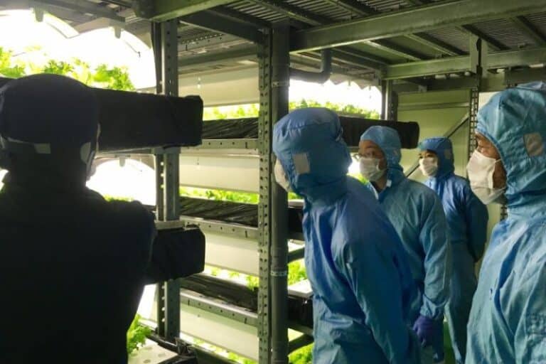 Japanese AgriTech Startup Farmship Leverages AI to Reduce Food Loss ...