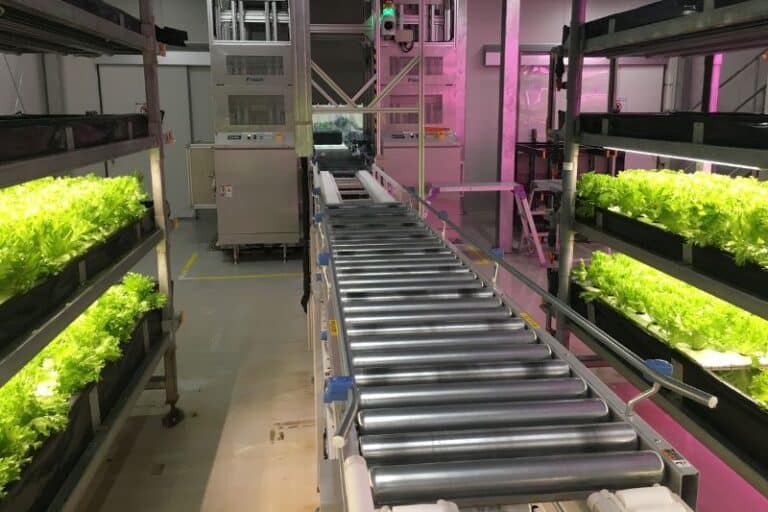Japanese AgriTech Startup Farmship Leverages AI to Reduce Food Loss ...