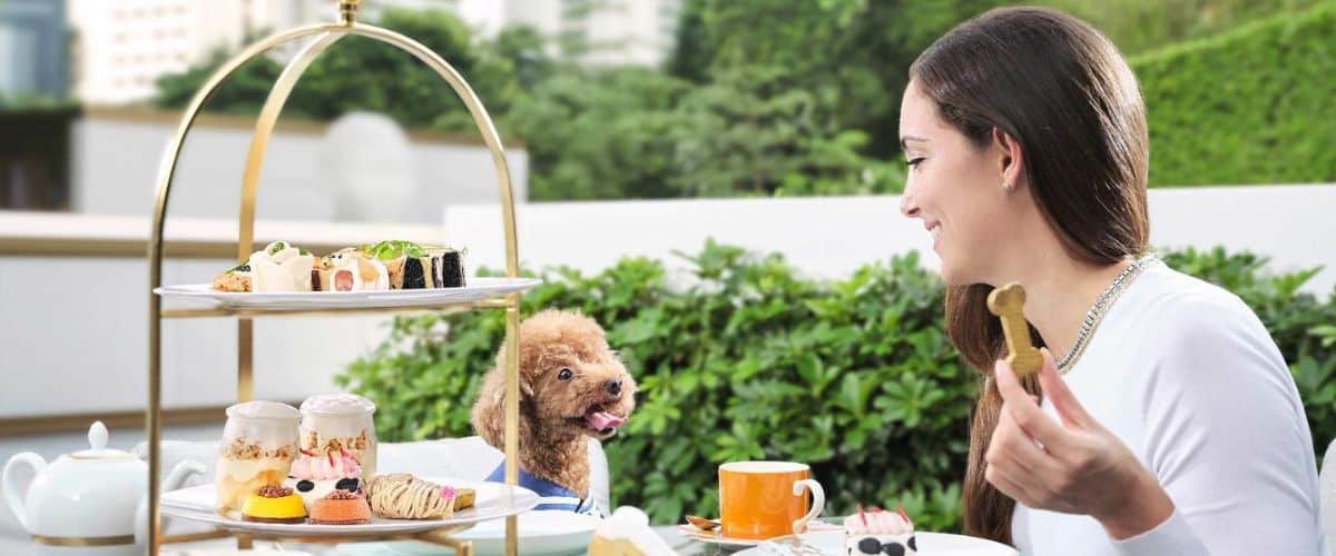 The Murray, Hong Kong Welcomes Easter with an "Egg-cellent Brunch" and ...